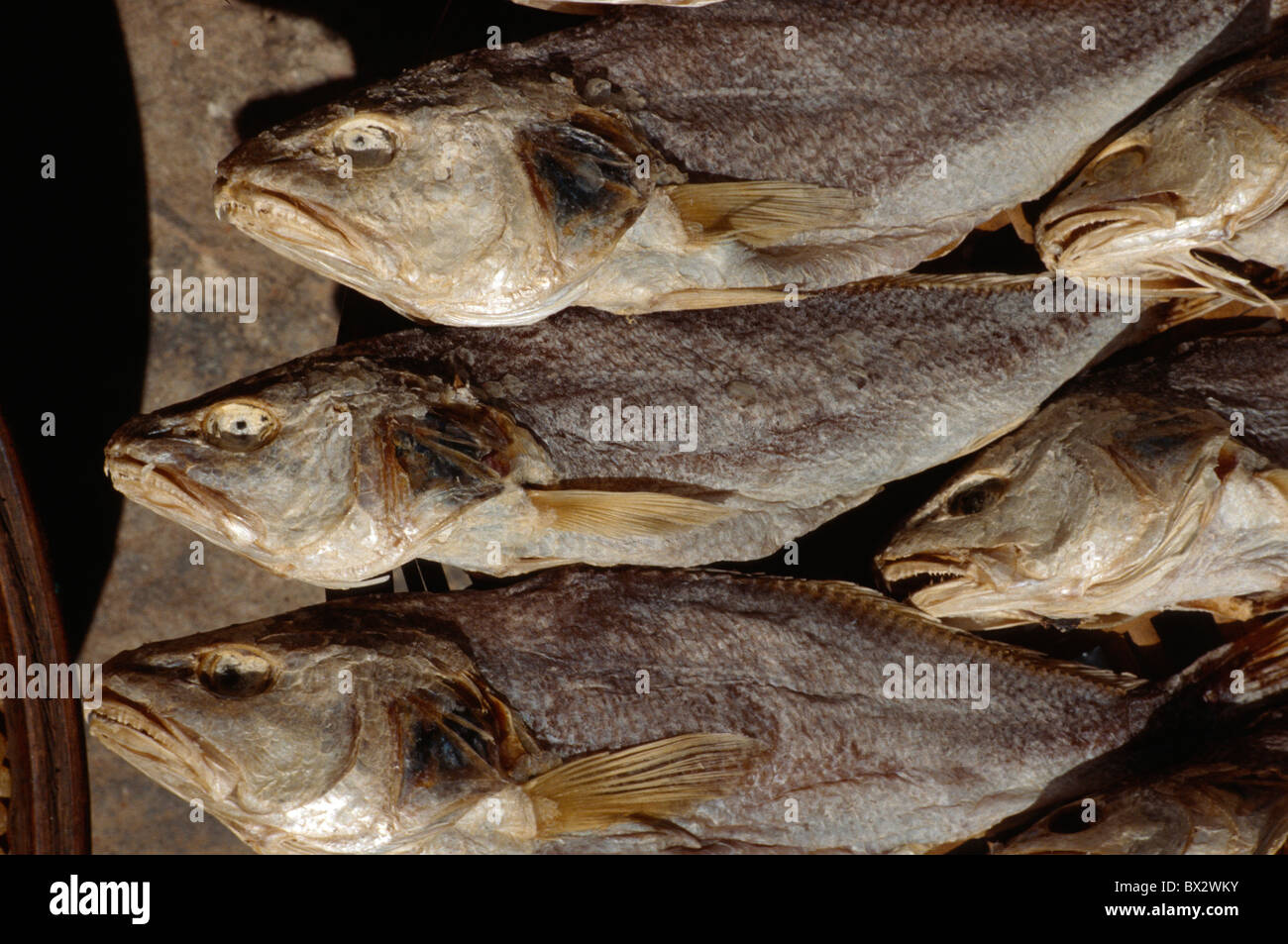 Chinese dried fisch hi-res stock photography and images - Alamy