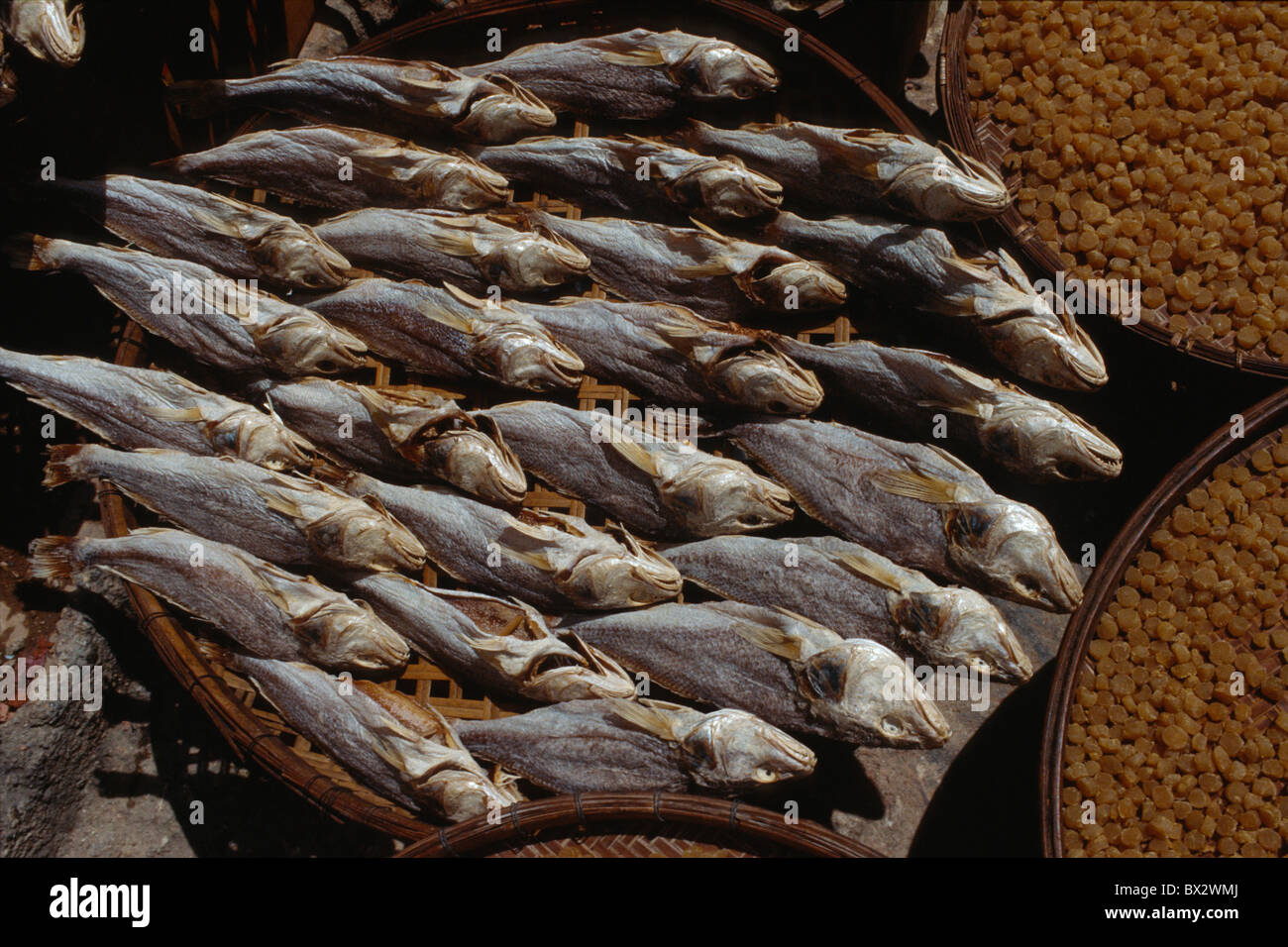 Dried Fish in Macau, China Stock Photo - Alamy