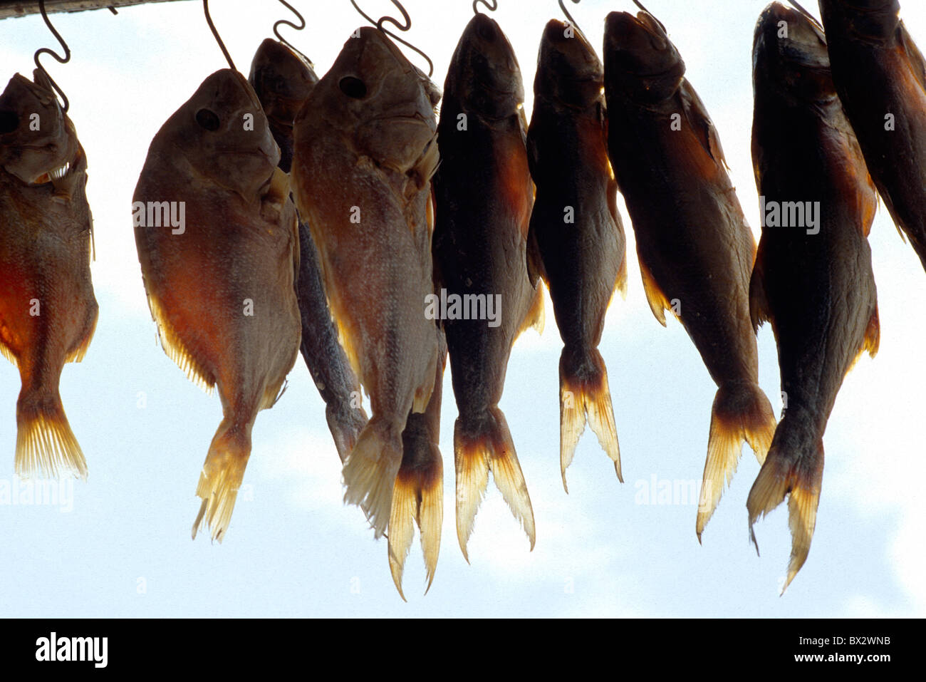 Dried Fish in Macau, China Stock Photo - Alamy