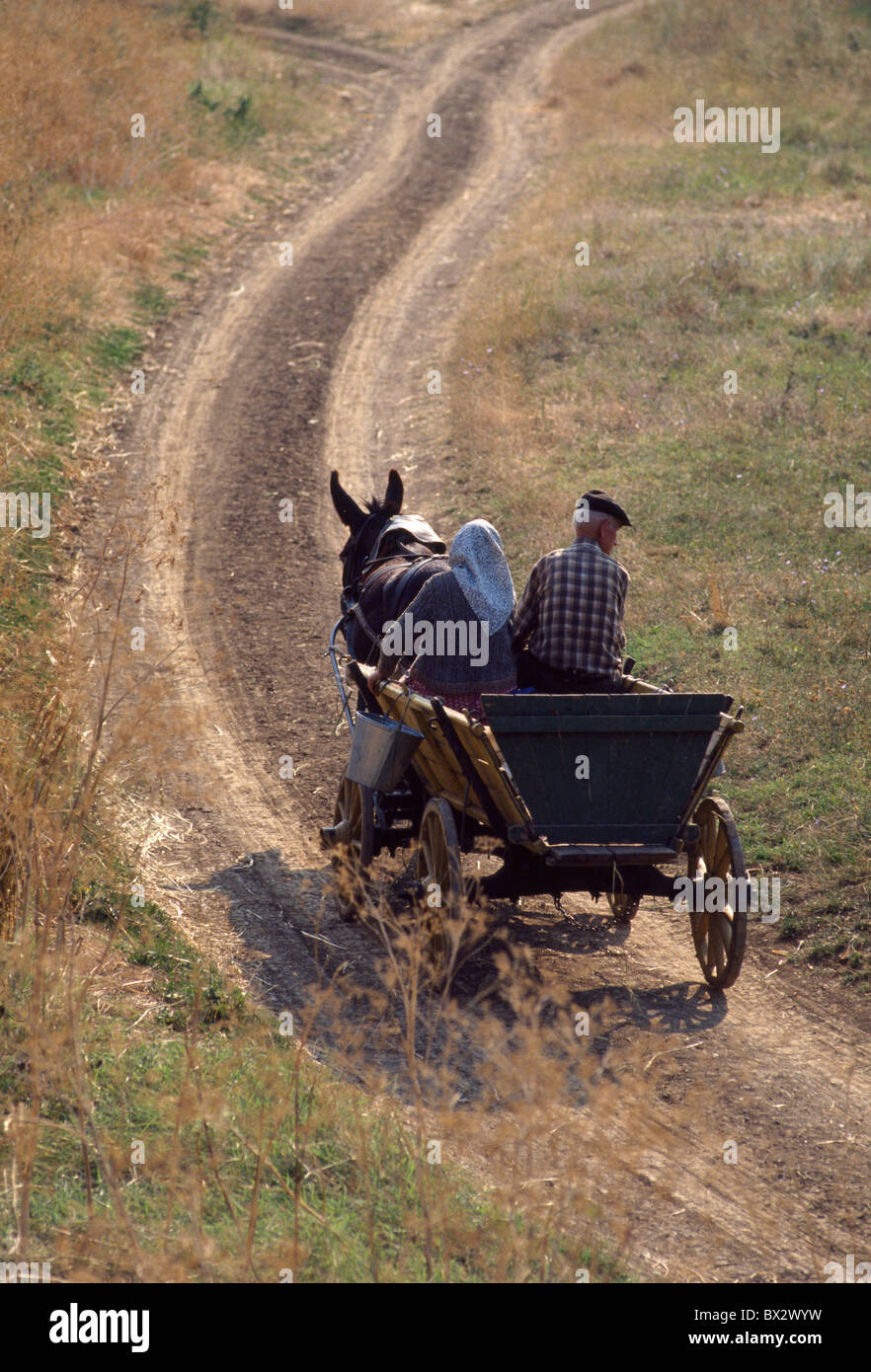 Donkey cart hi-res stock photography and images - Alamy