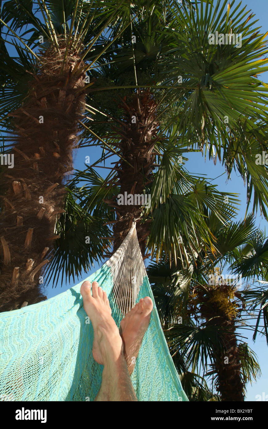 palm trees hammock legs feet person relax relaxed holidays vacation ...