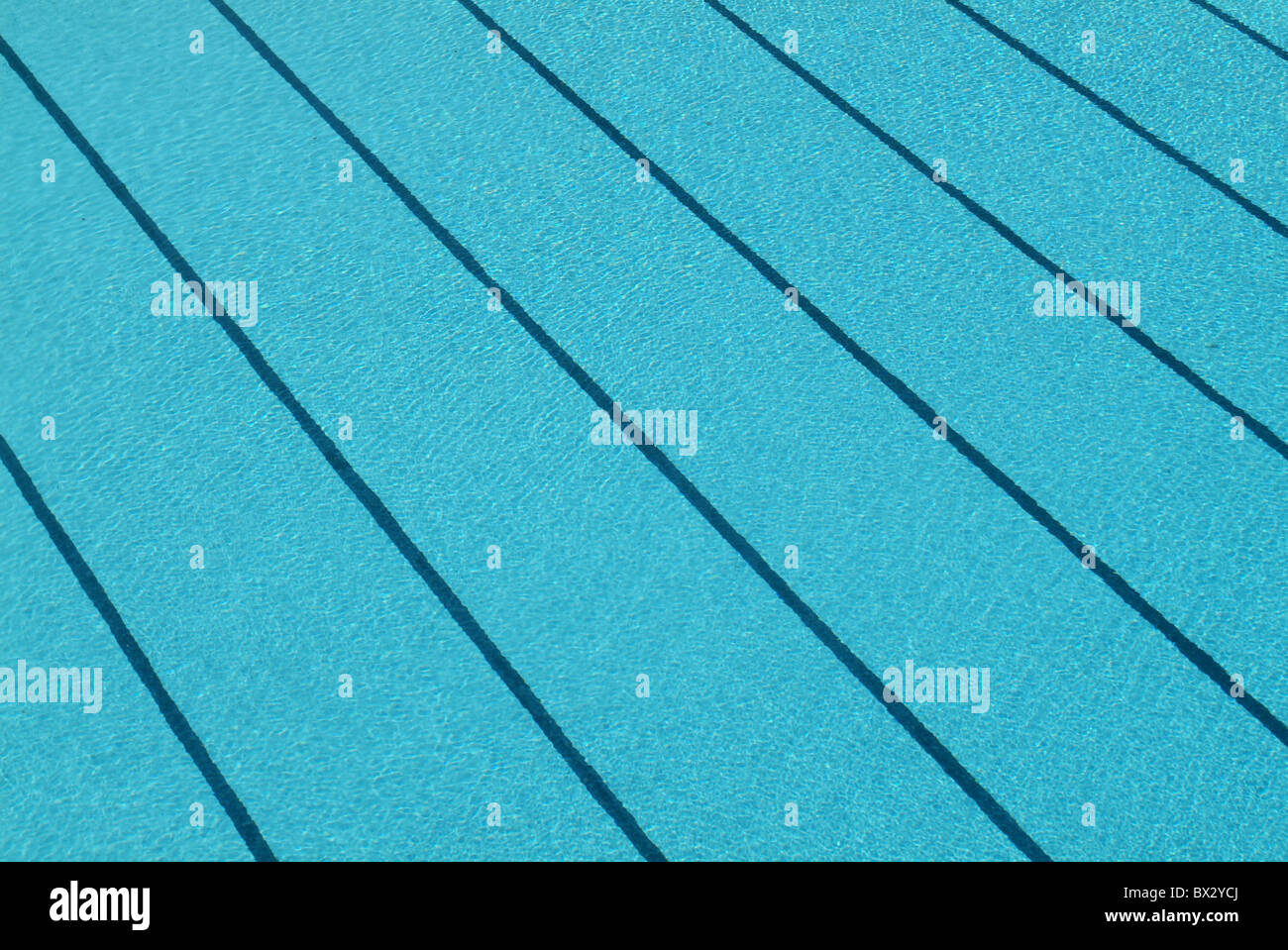 swimming-pool stripe lines competition swimming Schimmbecken Swimming ...
