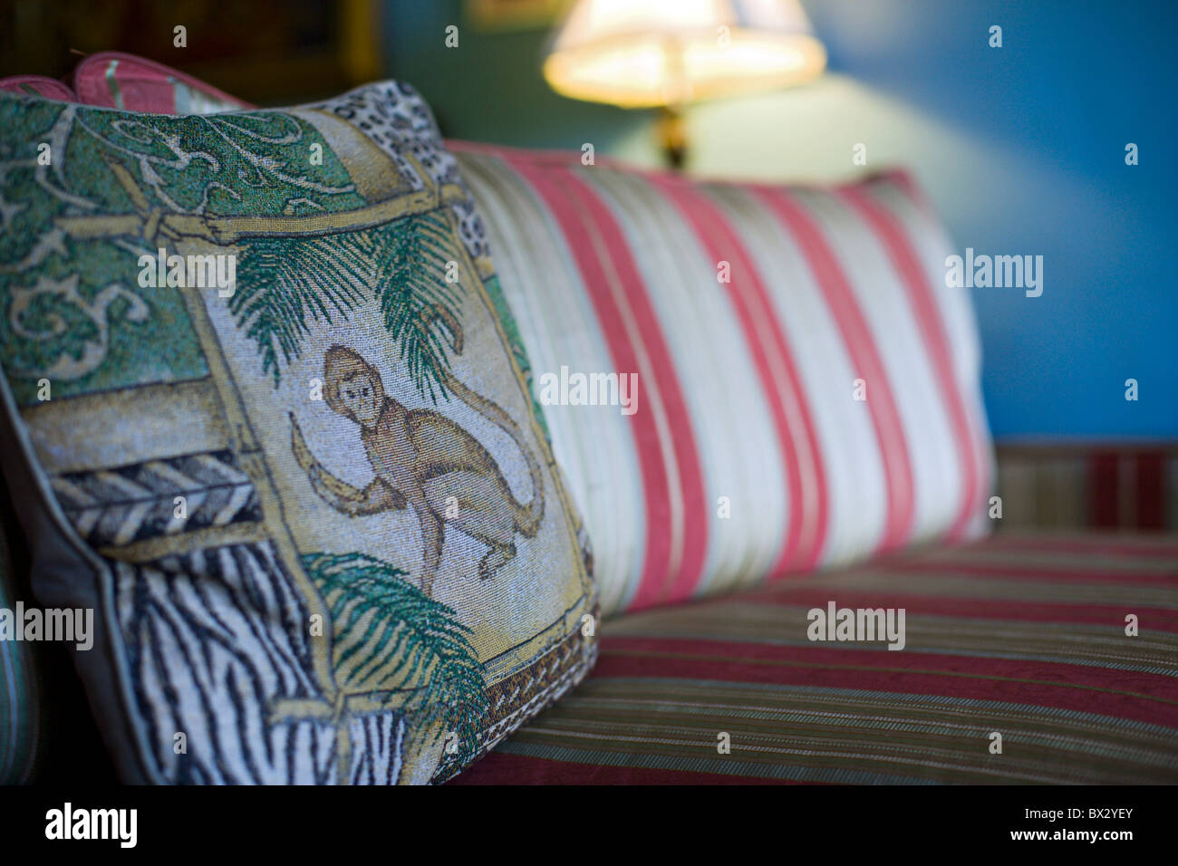 Fancy monkey hi-res stock photography and images - Alamy