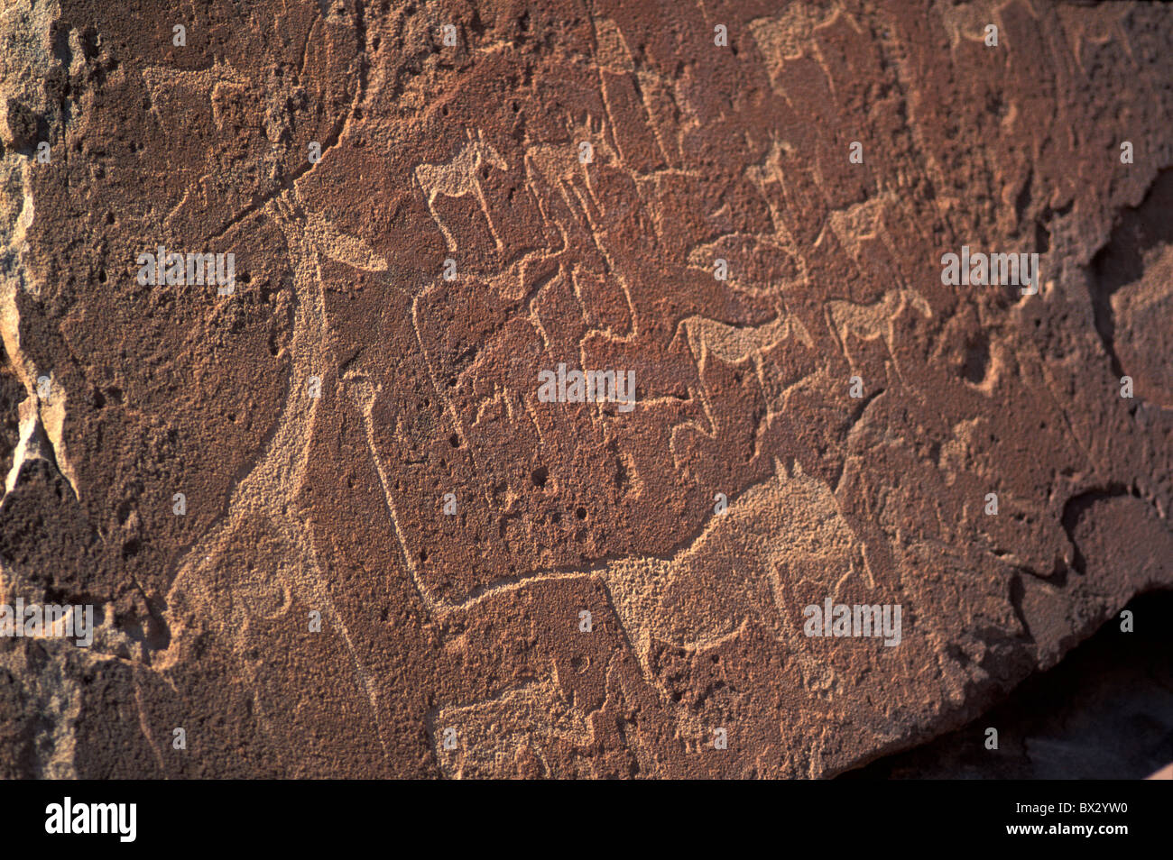 Africa Art Namibia Africa Petroglyphs Rock Twyfelfontein rock paintings ...