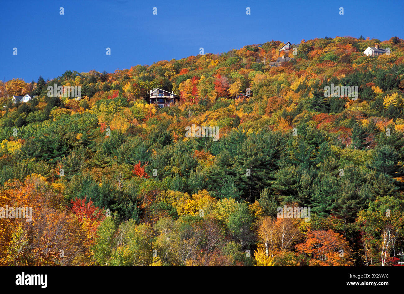 Homes Indian Indian Summer Lake Shore Park New Hampshire Park Shore USA ...