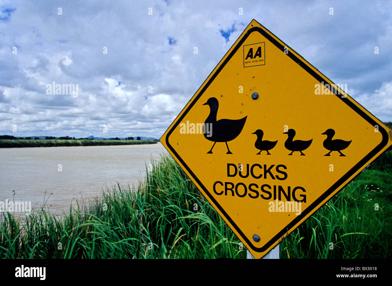 ducks shield sign board yellow attention birds bird animals animal ...