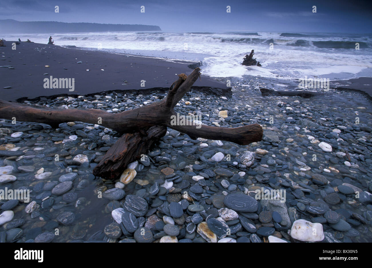 Bruce Bay West Coast Driftwood South Island New Zealand beach sea Stock ...