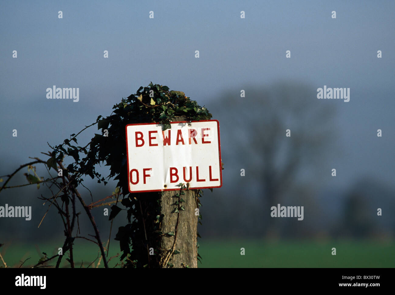 Beware Of Bull Sign Stock Photo - Alamy