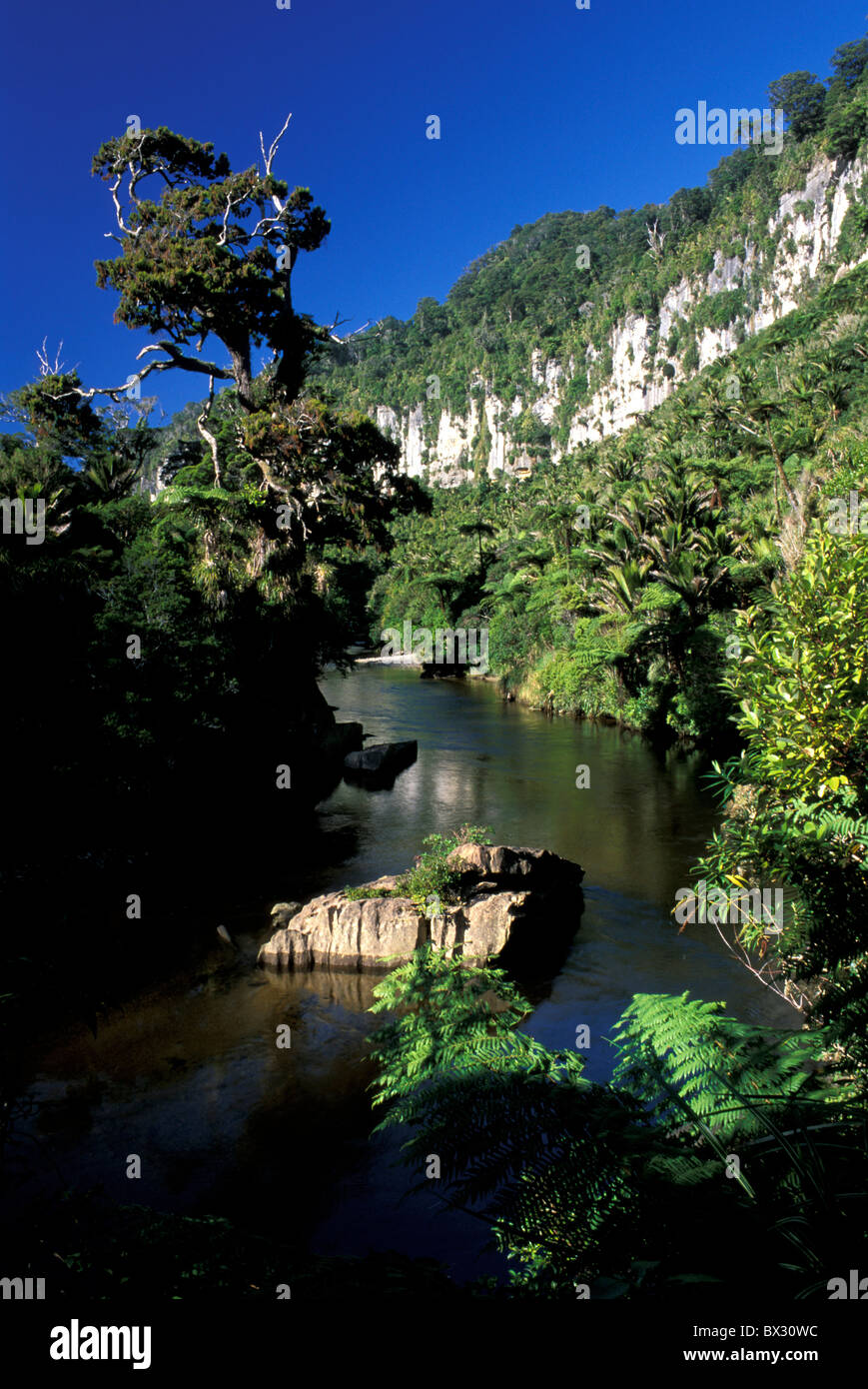 Pororari river hi-res stock photography and images - Alamy