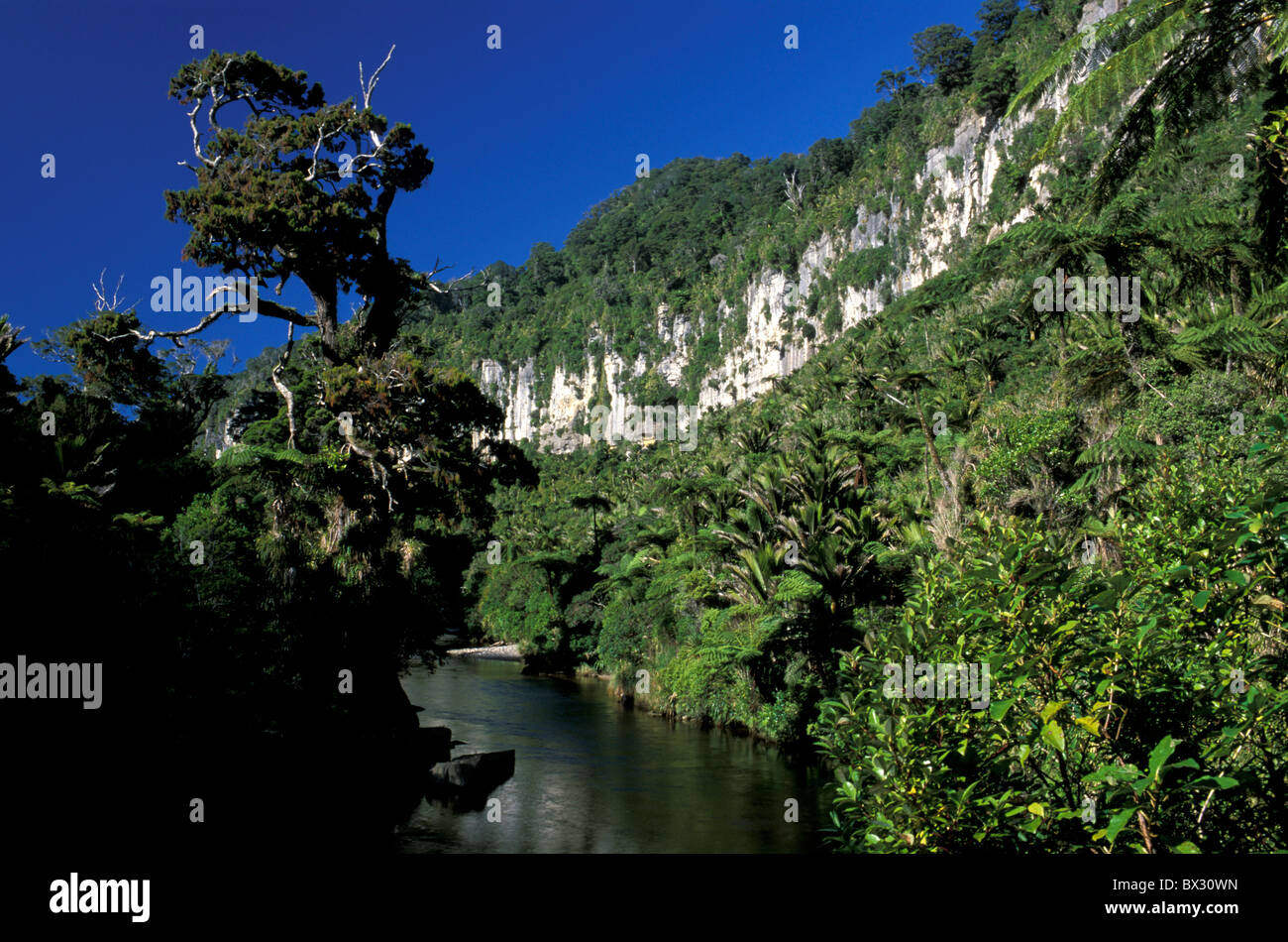 Pororari river hi-res stock photography and images - Alamy