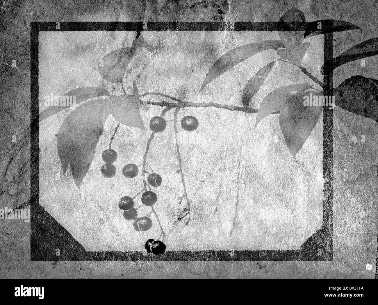 grunge vegetable background Stock Photo - Alamy