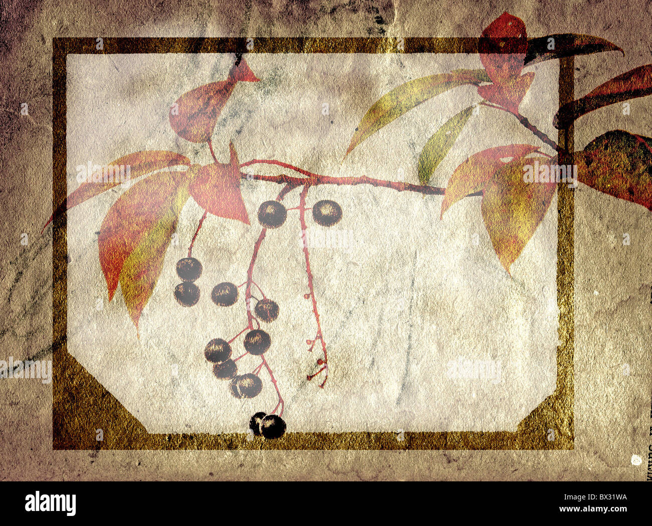 Berry stain paper hi-res stock photography and images - Alamy