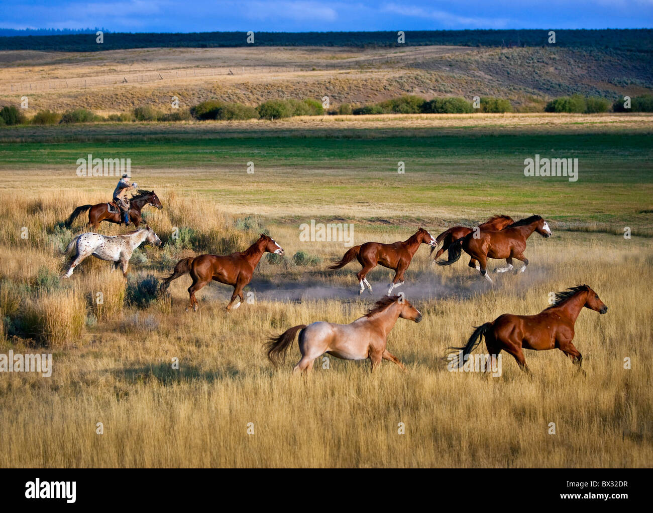 Old west cowboy landscapes hi-res stock photography and images - Alamy