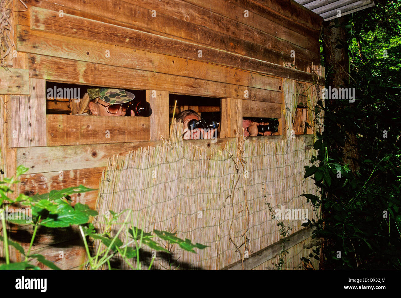 Birdwatching bird observation Bird watching hut camouflage photographer ...