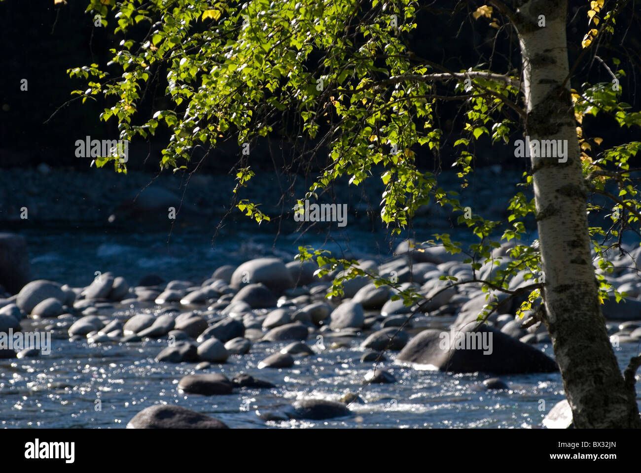 Scene shot a Hemu river, Northern Xinjiang, China Stock Photo - Alamy