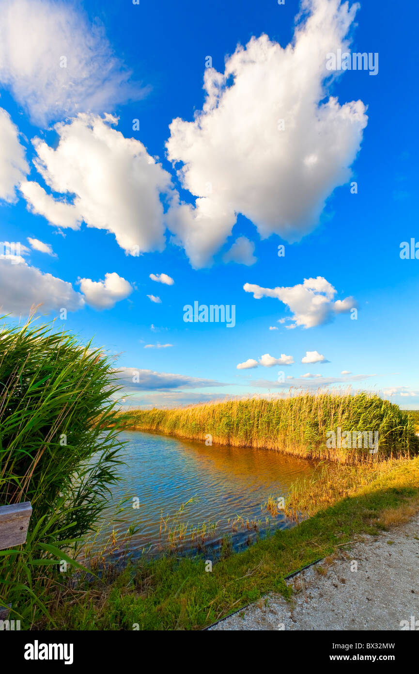 Marsh Pond view seen from pebble path, nobody, early dusk at Levy Park ...