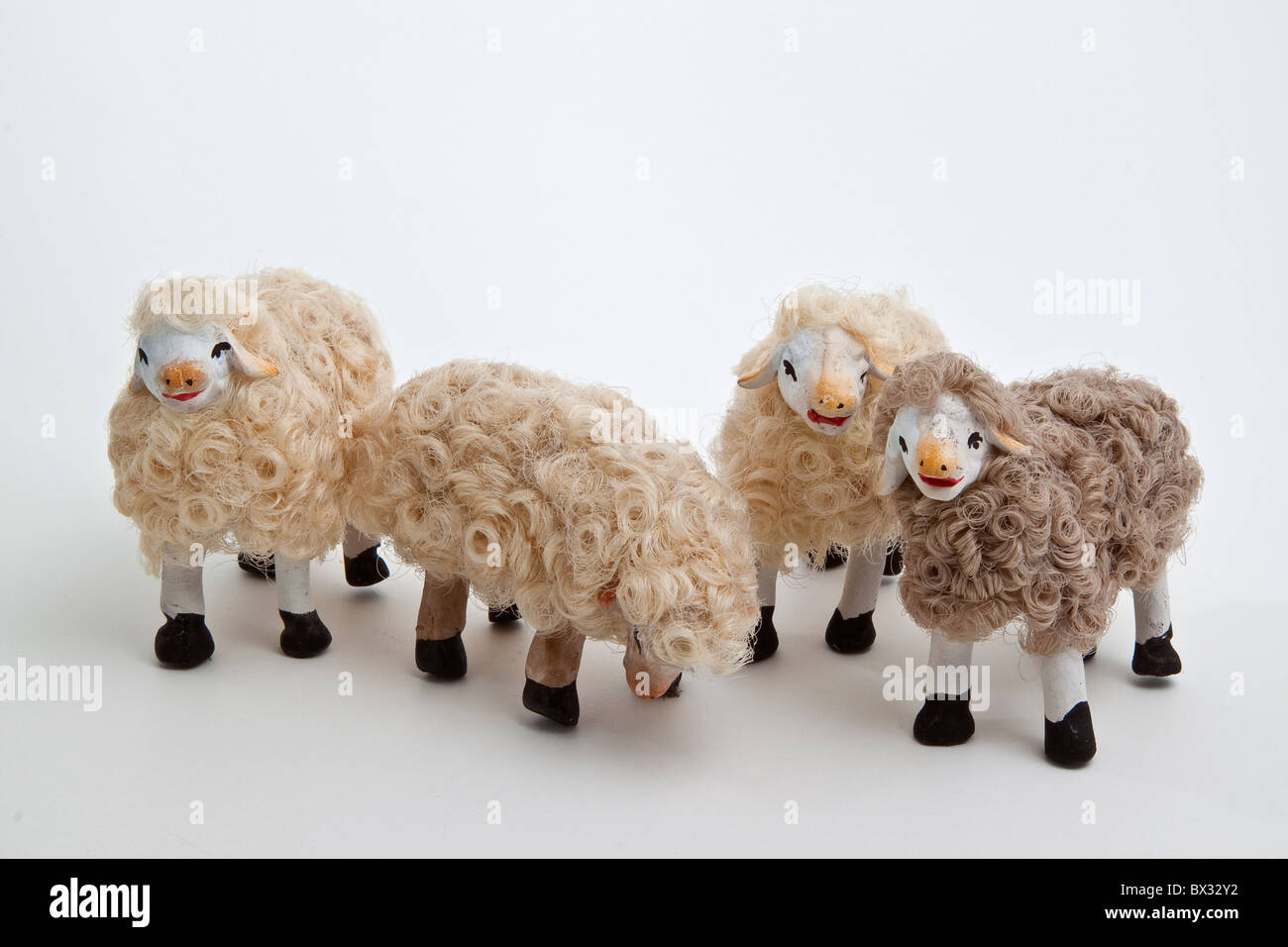 Sheep gift hi-res stock photography and images - Alamy