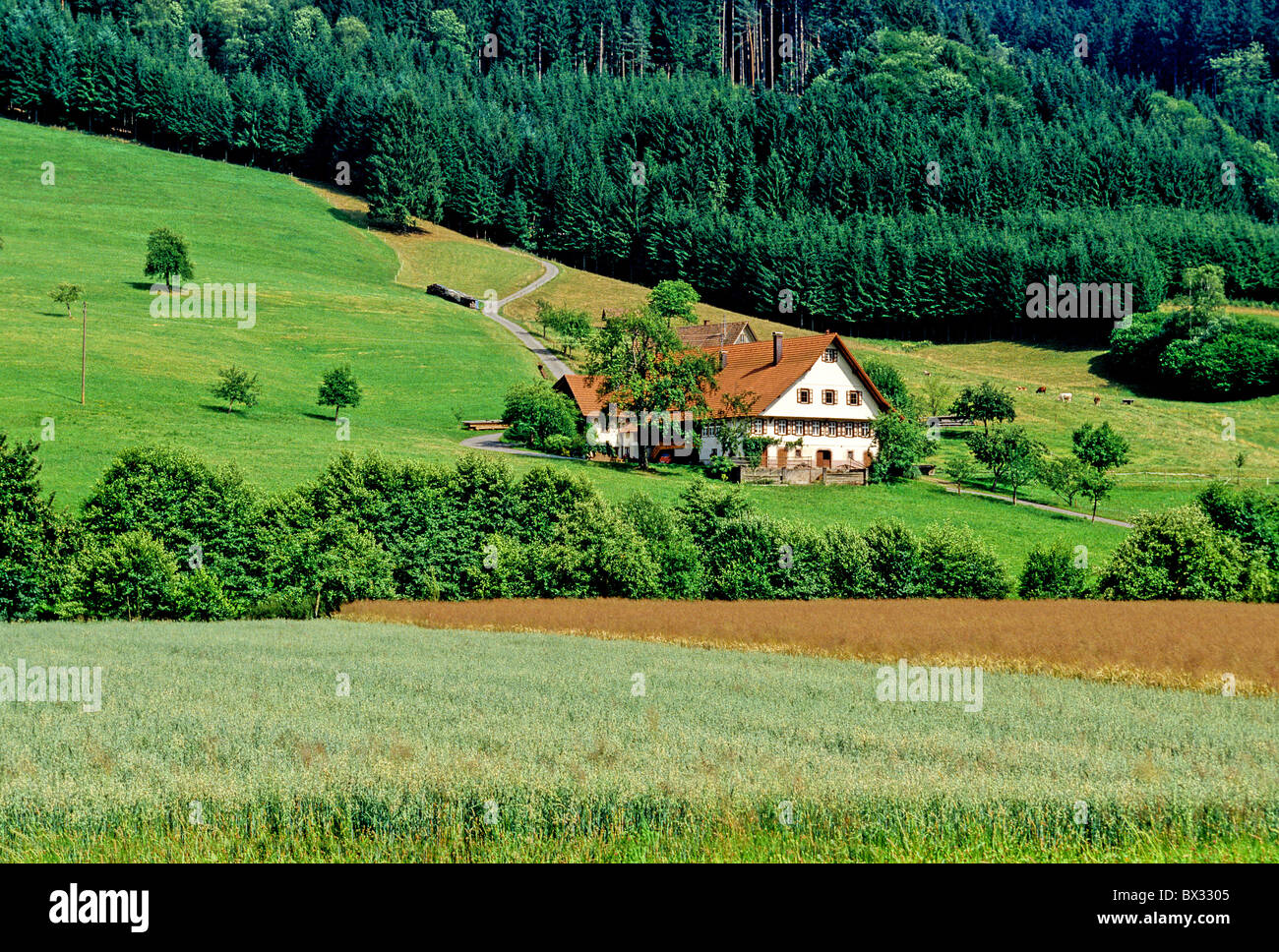 farm farmhouse agriculture scenery landscape fields wood Black Forest ...
