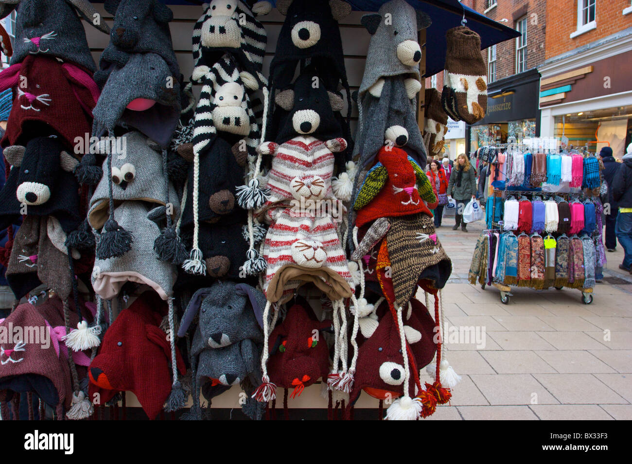 Street animal hi-res stock photography and images - Alamy