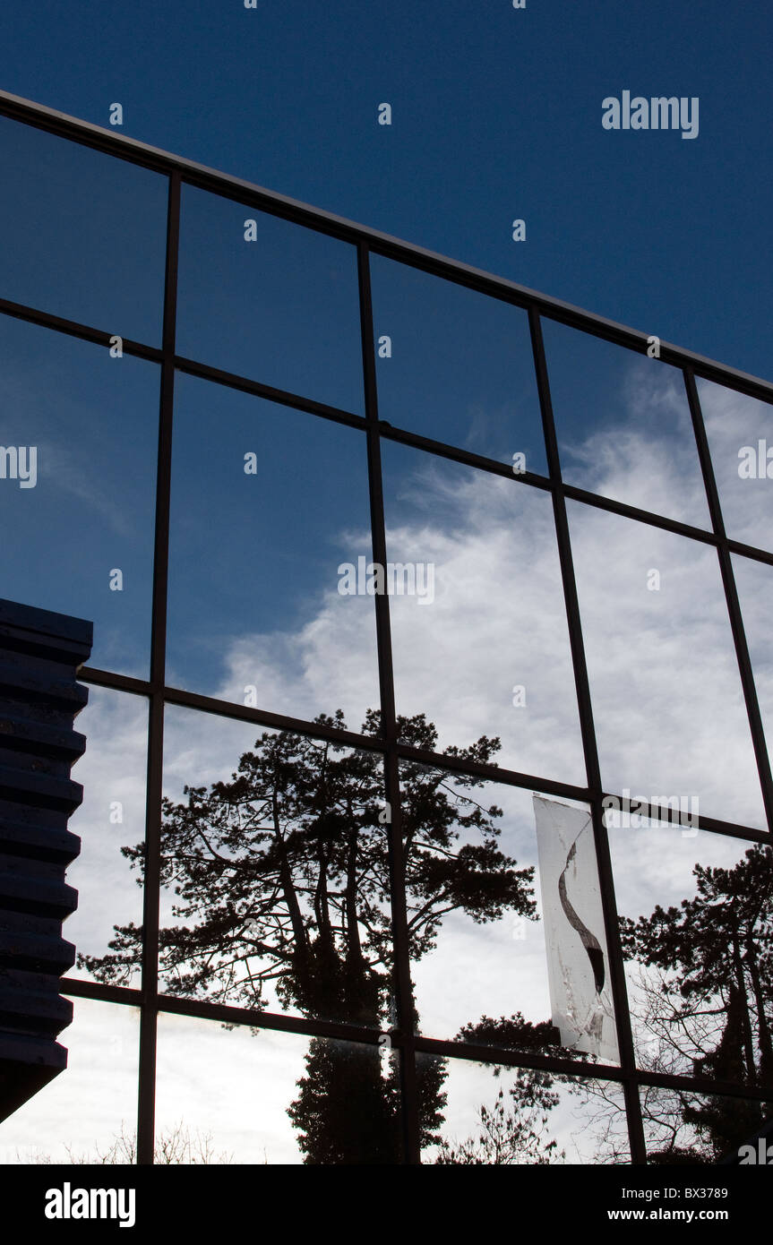 Winter tree and blue sky in reflective windows Stock Photo - Alamy