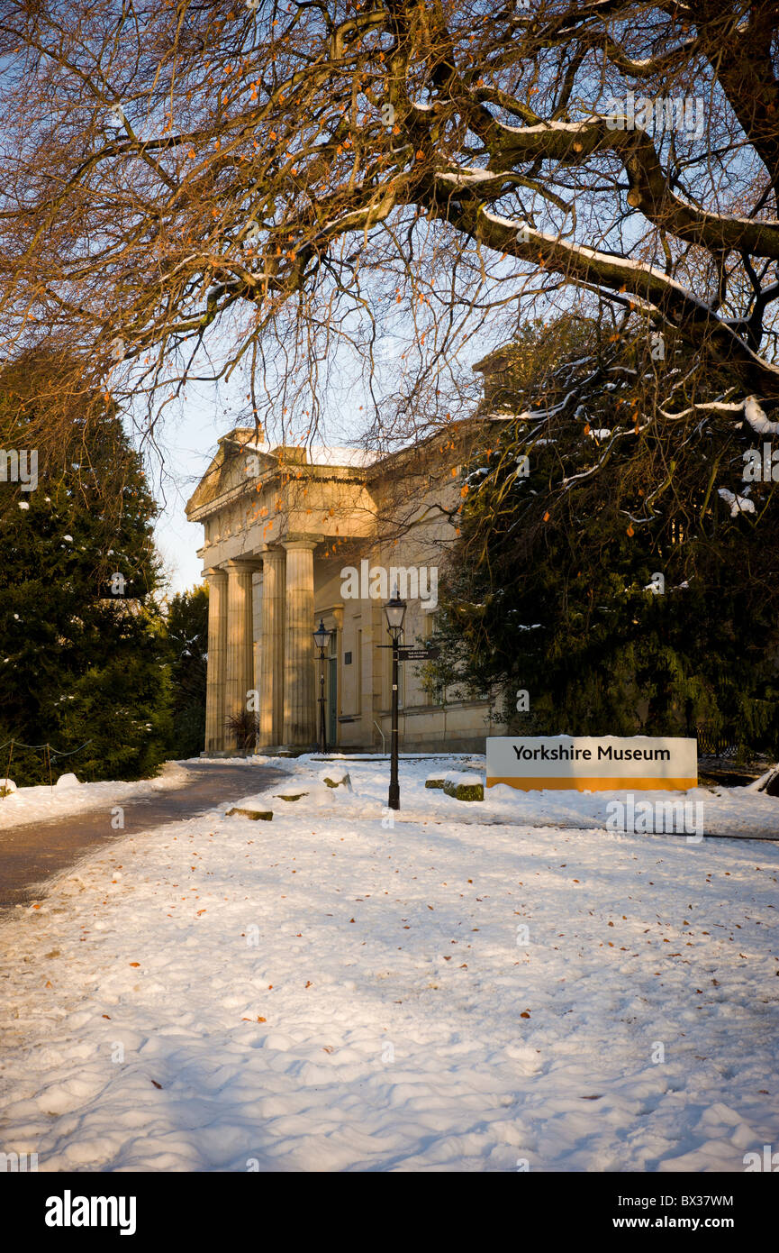 Yorkshire Museum And Gardens High Resolution Stock Photography and ...