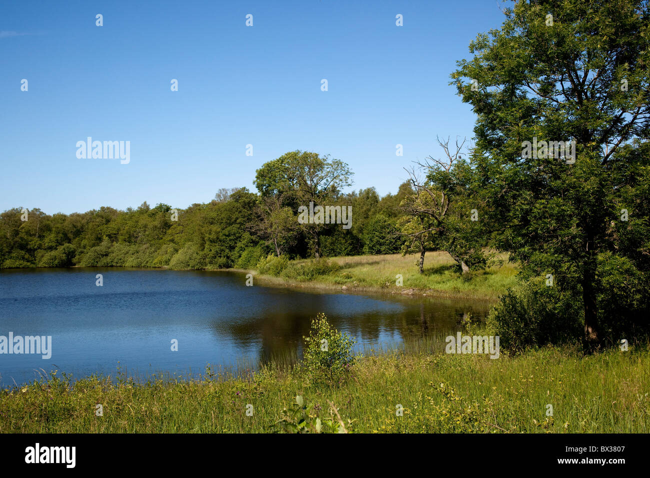 Hammershus lake hi-res stock photography and images - Alamy