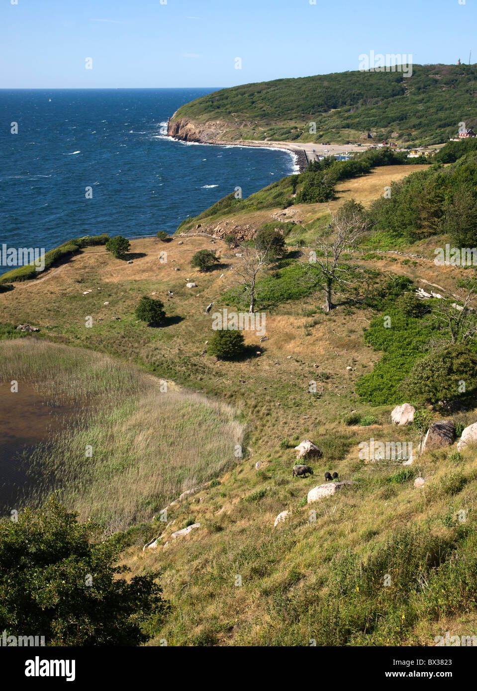 Bornholm cliff hi-res stock photography and images - Alamy
