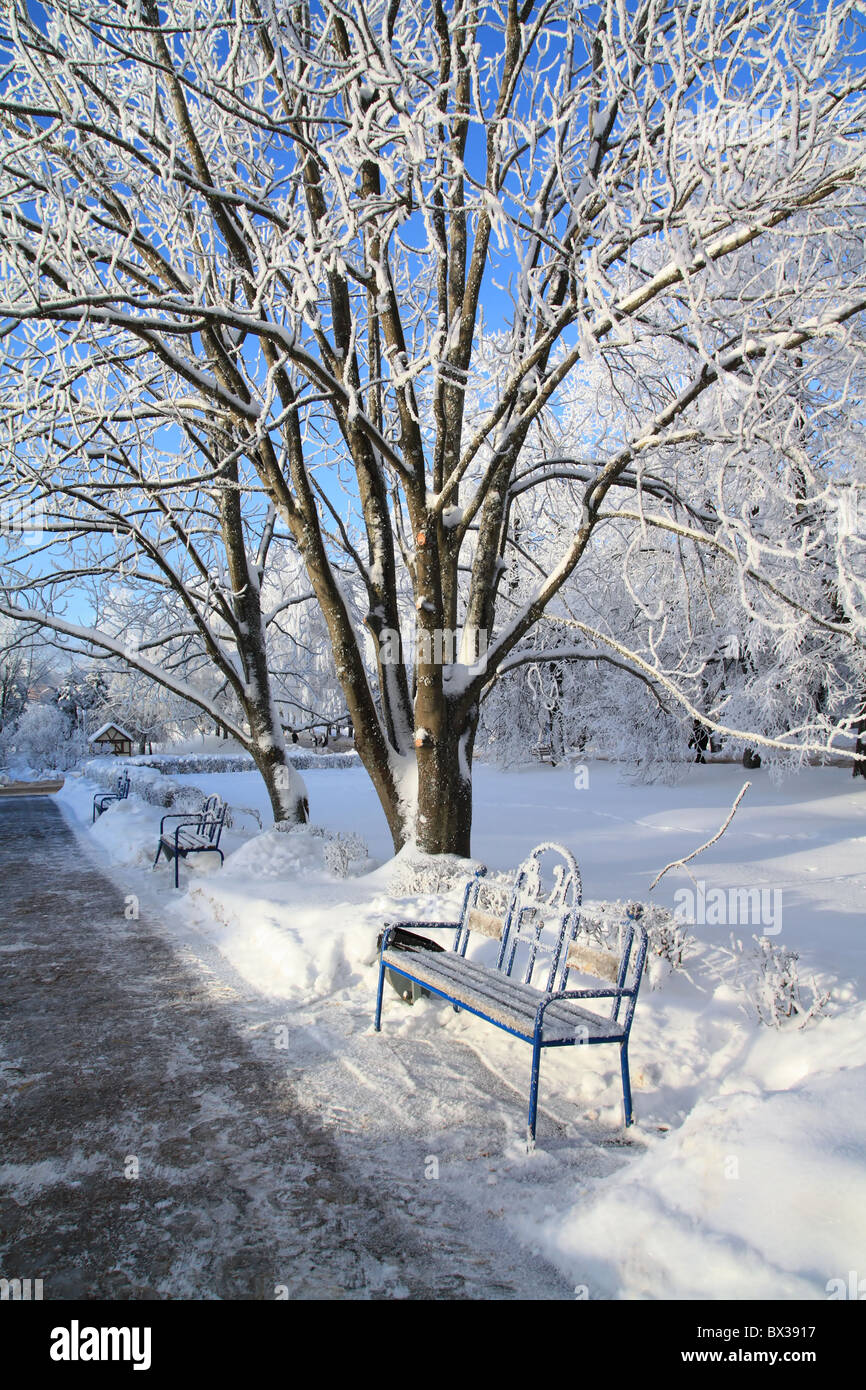 decorative bench in winter park Stock Photo - Alamy