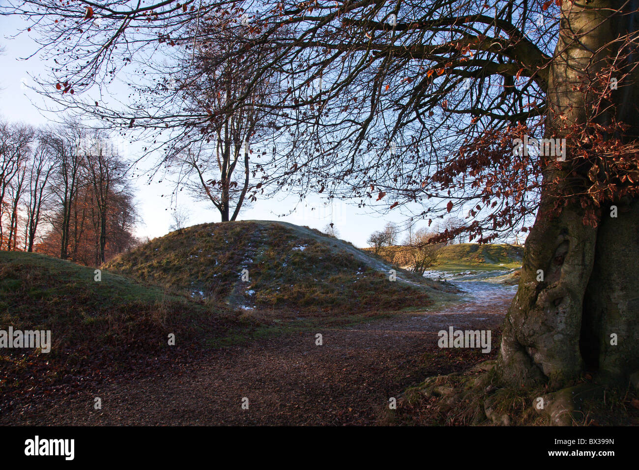 Danebury Iron Age Hill Fort, Hampshire, UK Stock Photo - Alamy