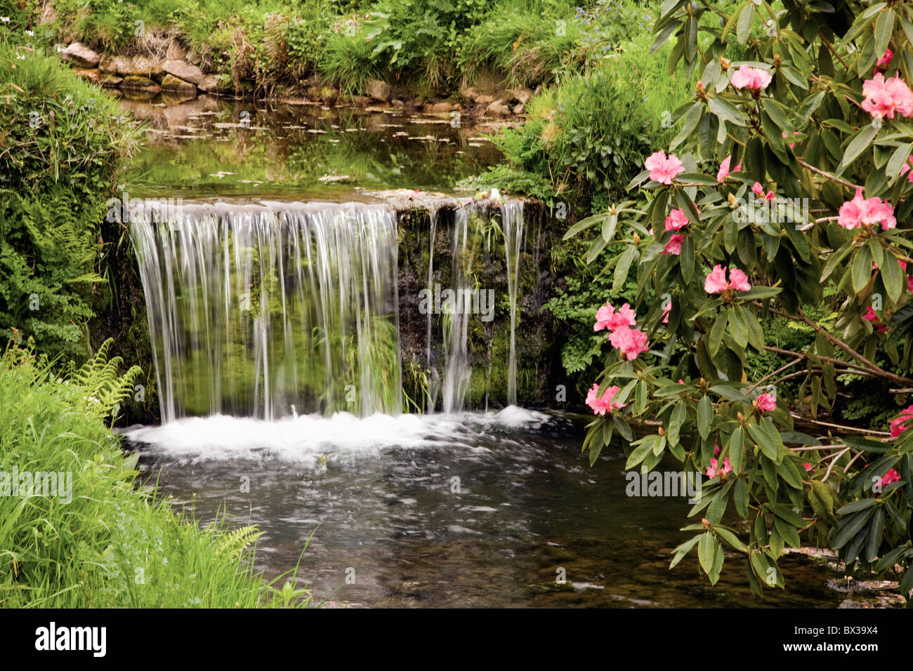 A Stream And Waterfall In Dartmoor National Park; Devon, England Stock ...