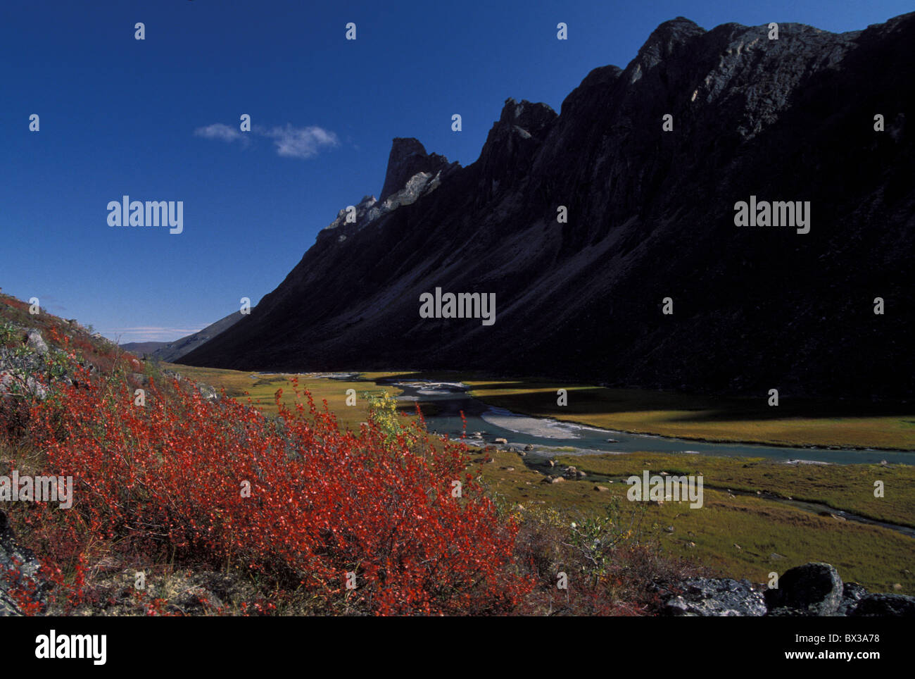 Arrigetch Peaks autumn red dwarf birch bushes Brooks Range Gates of the ... Arrigetch Peaks autumn red dwarf birch bushes Brooks Range Gates of the ...