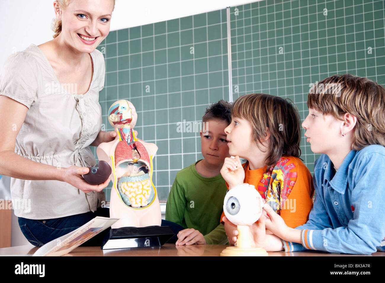 Inside human body woman hi-res stock photography and images - Alamy