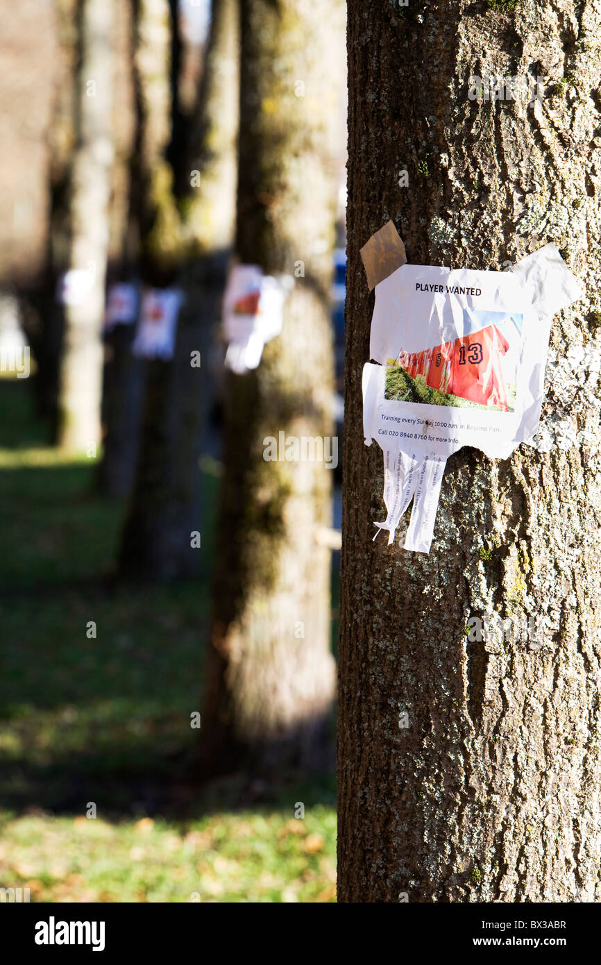 note with ad searching for football players sticking on tree Stock ...