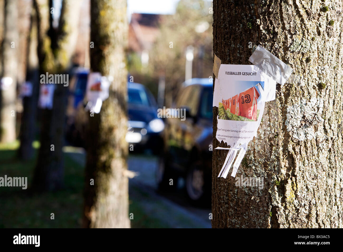note with ad searching for football players sticking on tree Stock ...