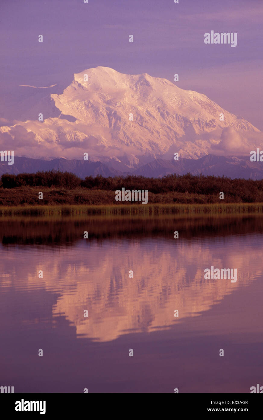 10814217 hi-res stock photography and images - Alamy
