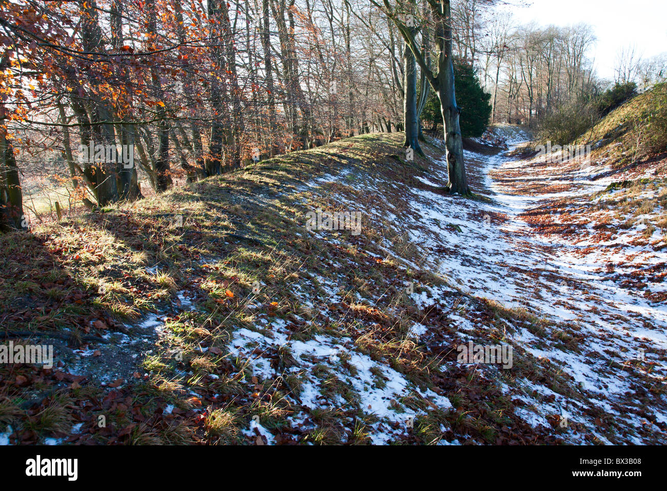 Danebury iron age hill fort hi-res stock photography and images - Alamy