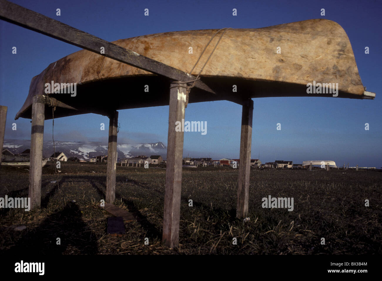 Skinboat Umiak made of walrus hide rack Siberian Yupik Eskimo Gambell ...