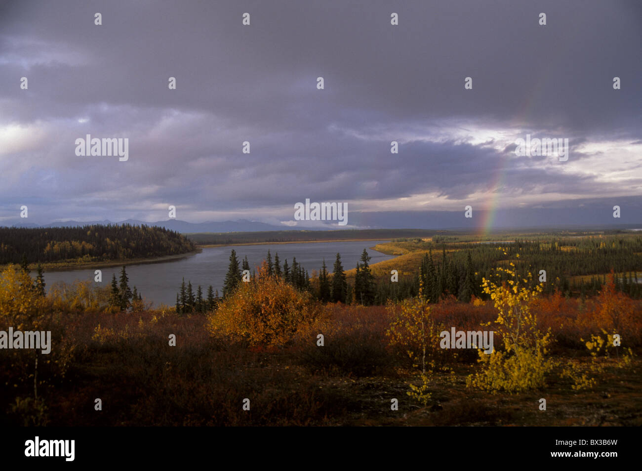 Kobuk river rainbow Kavet Creek autumn boreal forest subarctic Kobuk ...