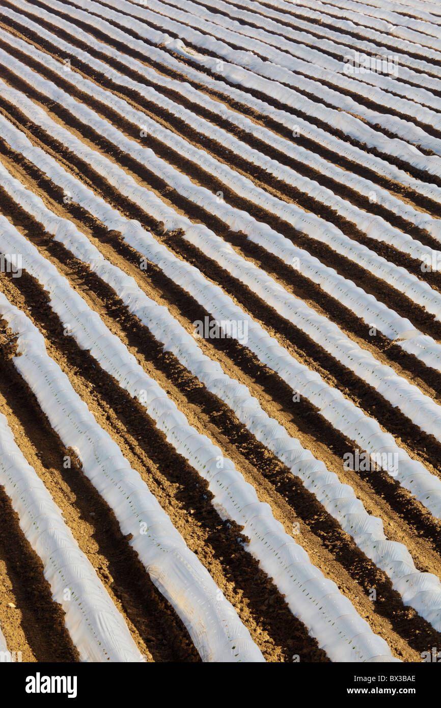 Cartama in spain hi-res stock photography and images - Alamy