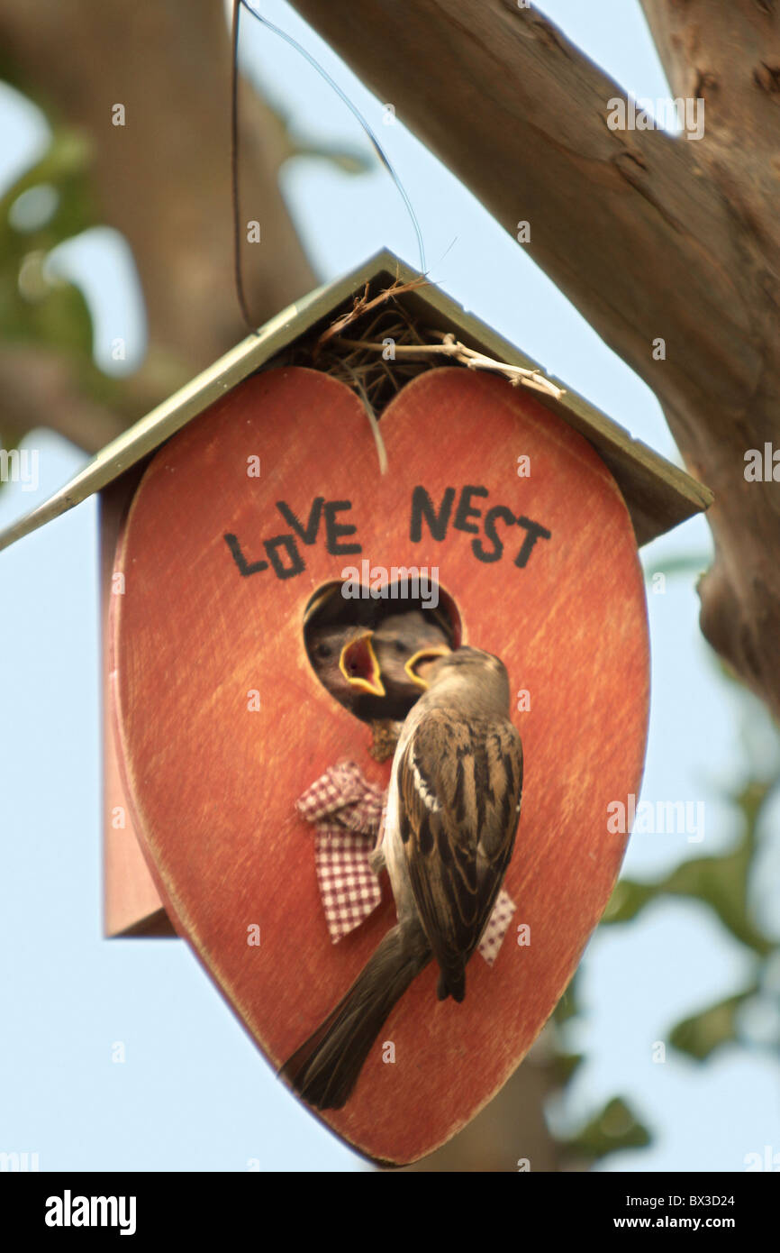 Babies love nature hi-res stock photography and images - Alamy