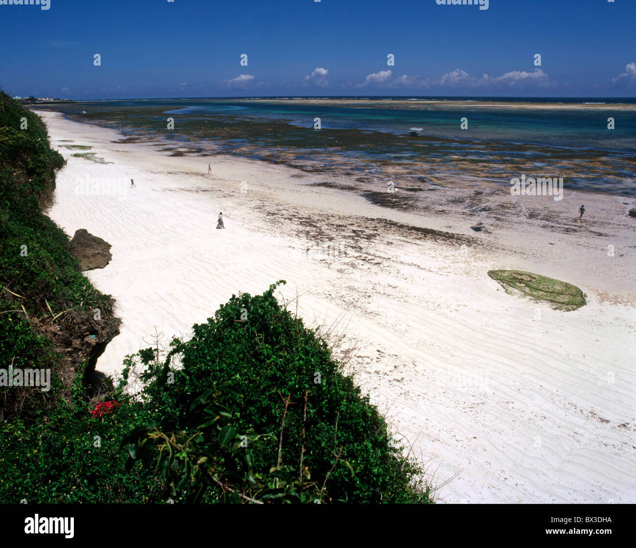 Nyali Beach in Mombasa in Kenya East Africa Stock Photo - Alamy