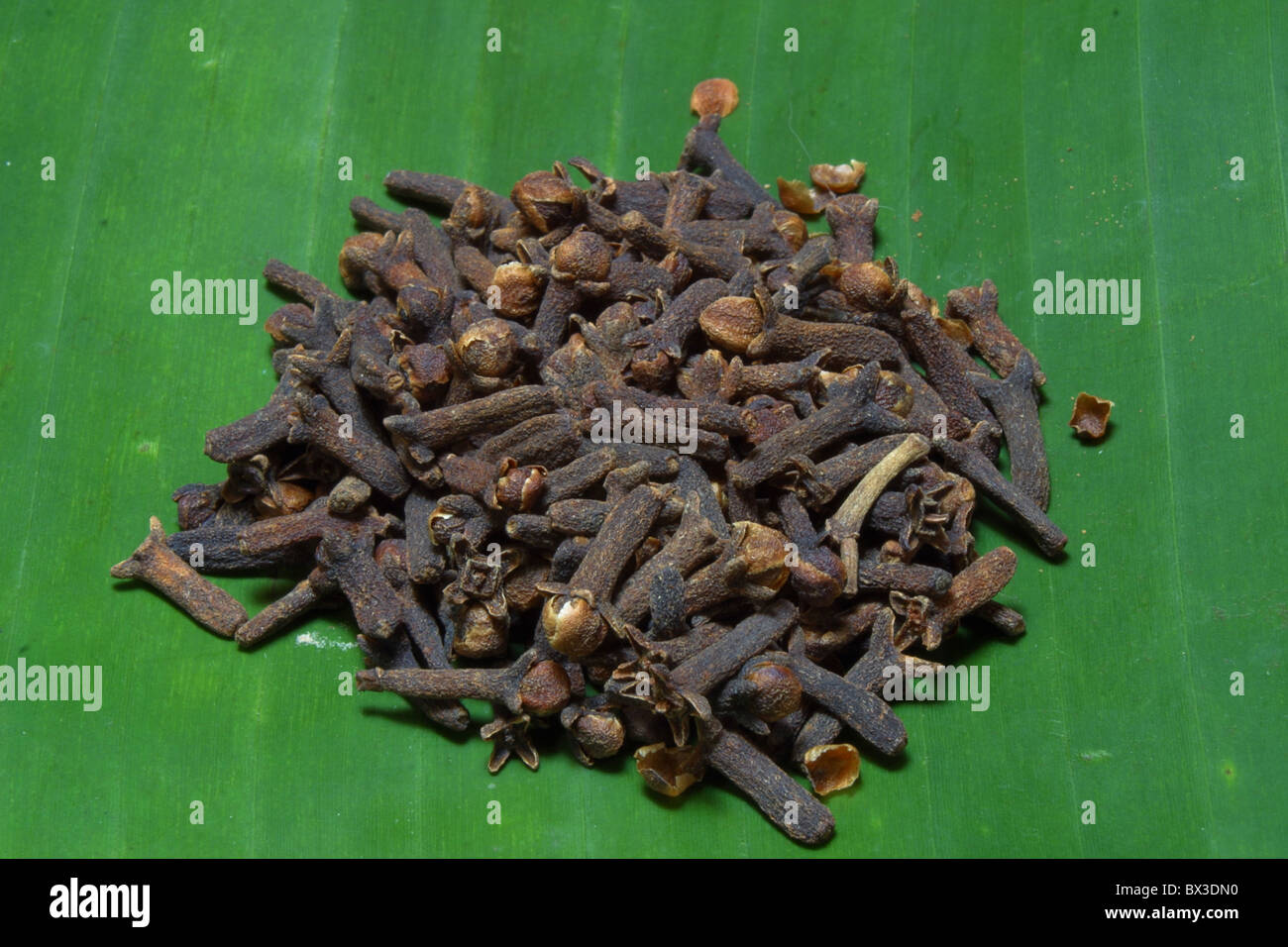 spices cloves food kitchen cooking Stock Photo - Alamy