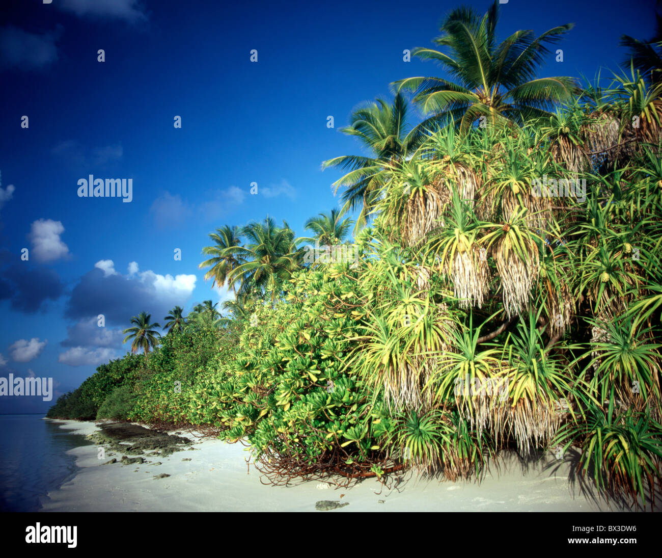 Beach at Ari Atoll Maldive Islands Indian Ocean Stock Photo - Alamy