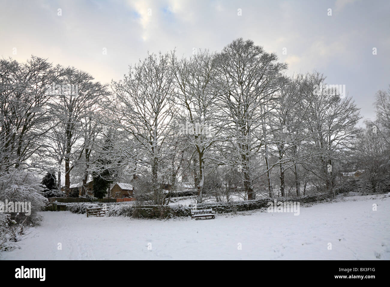 Magdale Fields in deep snow, Honley, Holmfirth, West Yorkshire, England ...