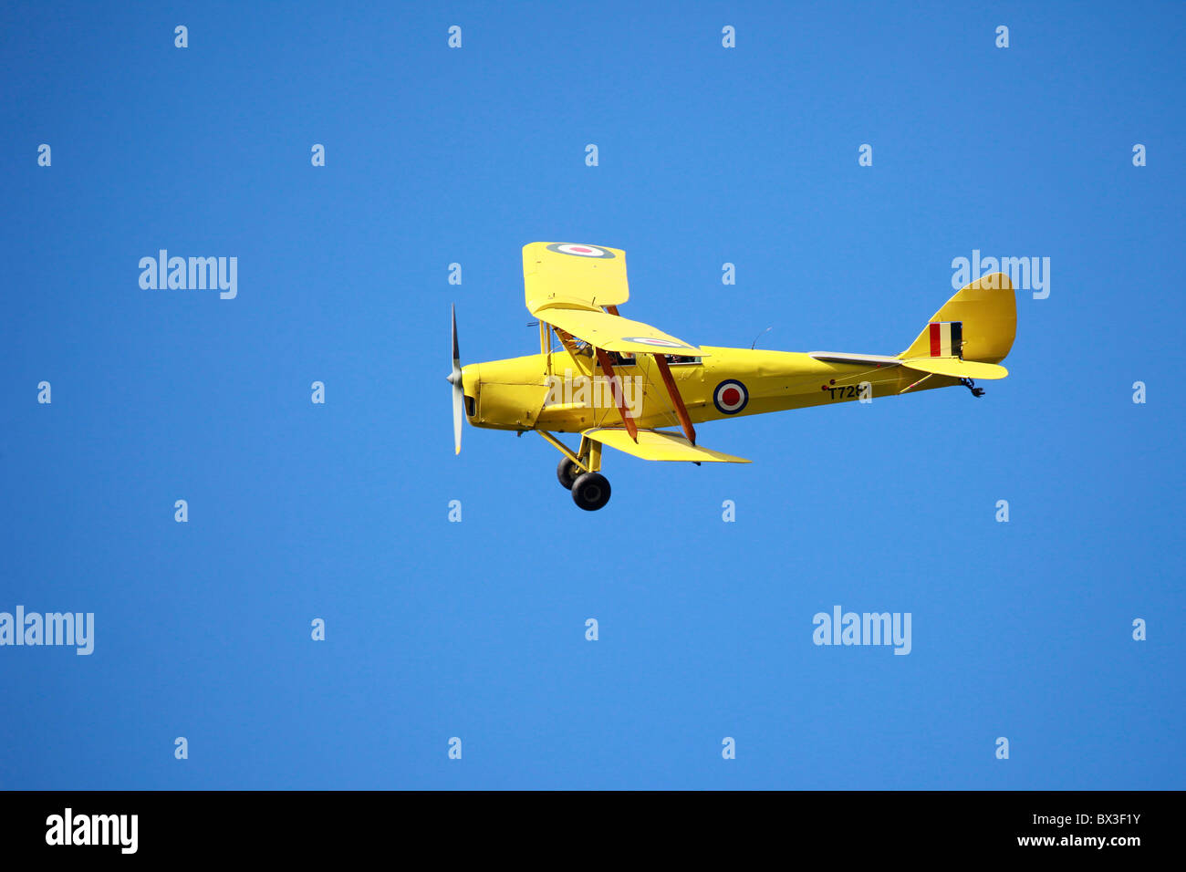 Yellow Chipmunk T 7281 in Flight De Havilland DH.82A Tiger Moth, G-ARTL ...