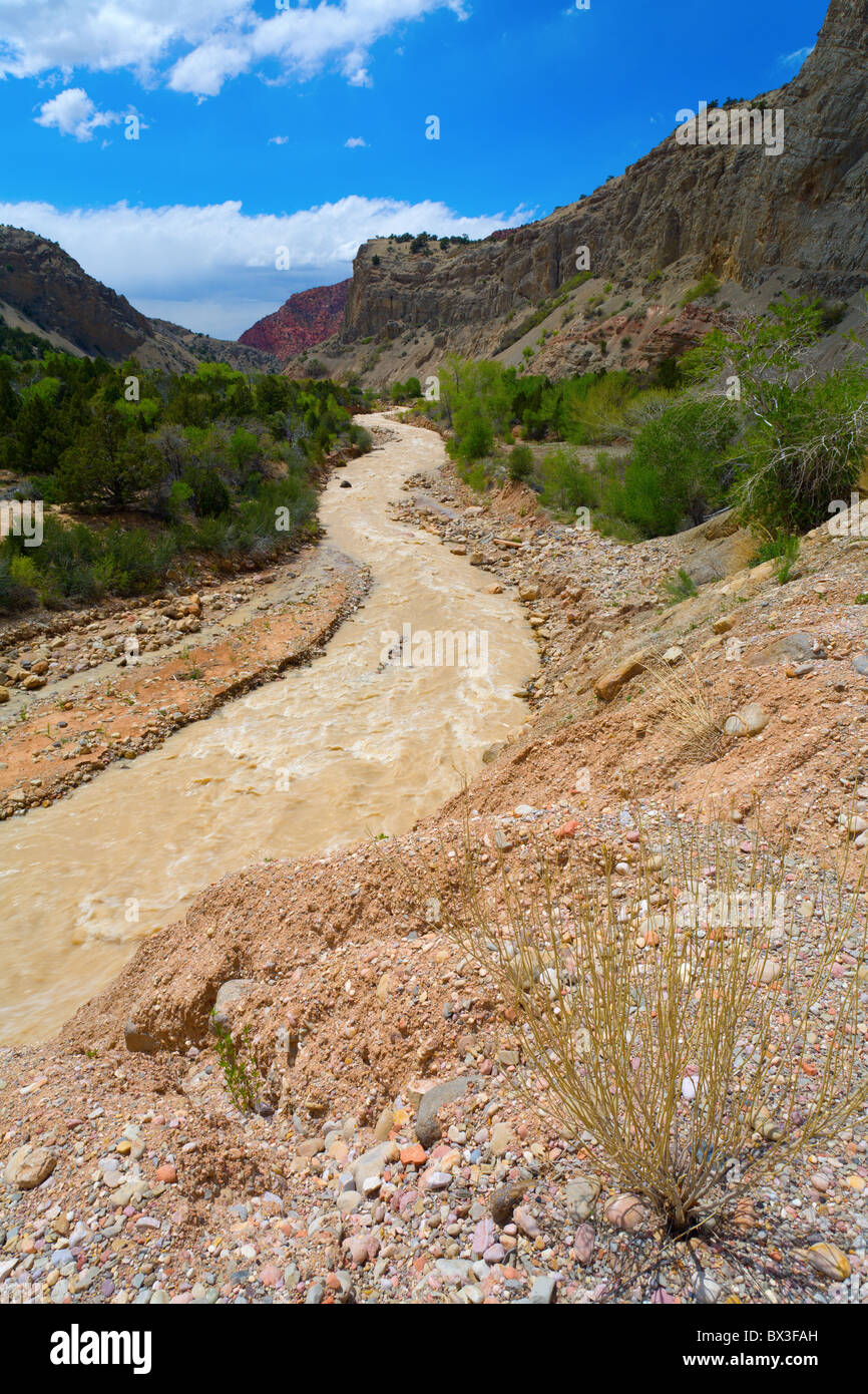 Mountain stream in Zion National Park Stock Photo - Alamy
