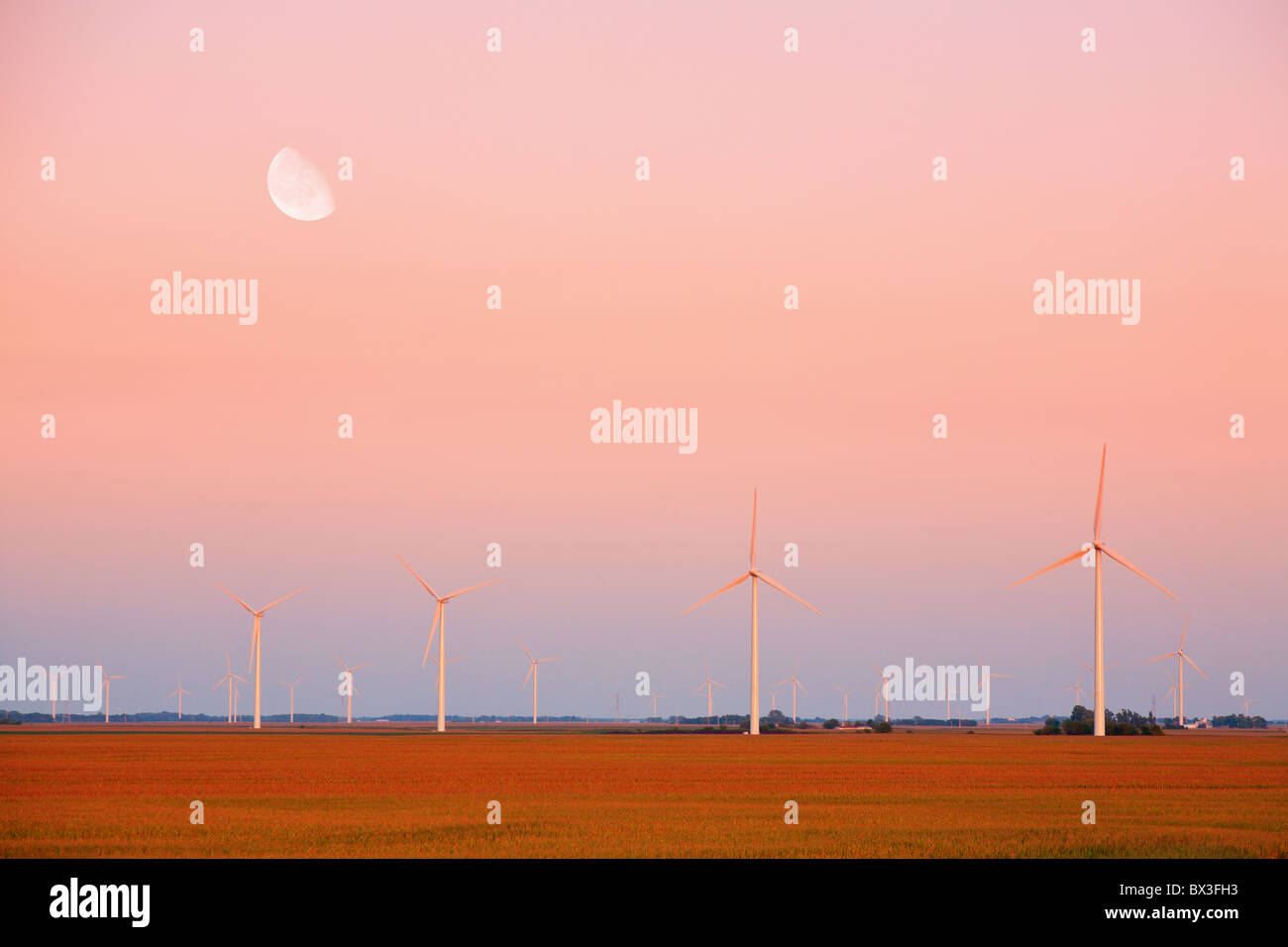 Wind farm at sunset Stock Photo - Alamy