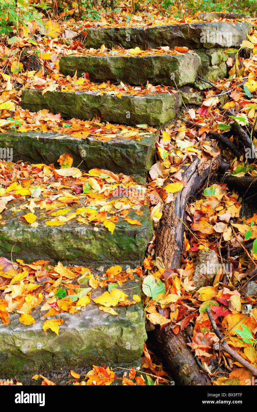 Curved stone stairs hi-res stock photography and images - Alamy