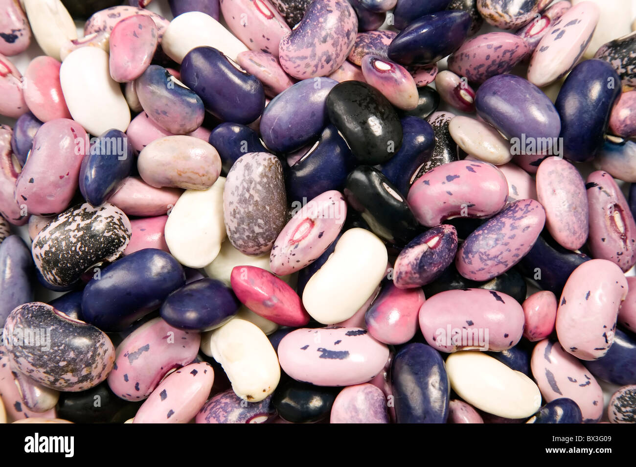 Texture of various sizes and colors beans Stock Photo - Alamy