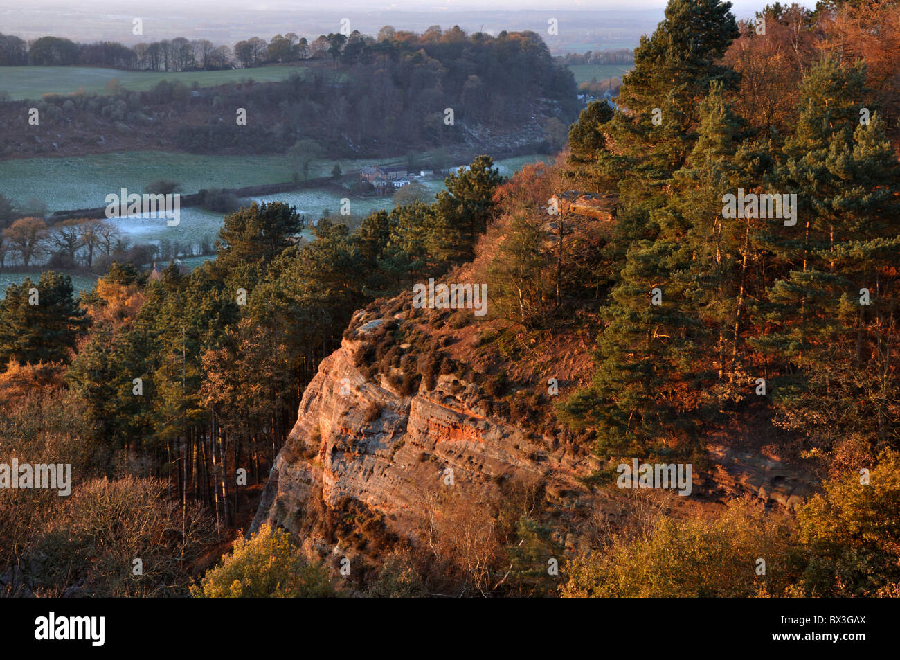 Raw head, cheshire hi-res stock photography and images - Alamy